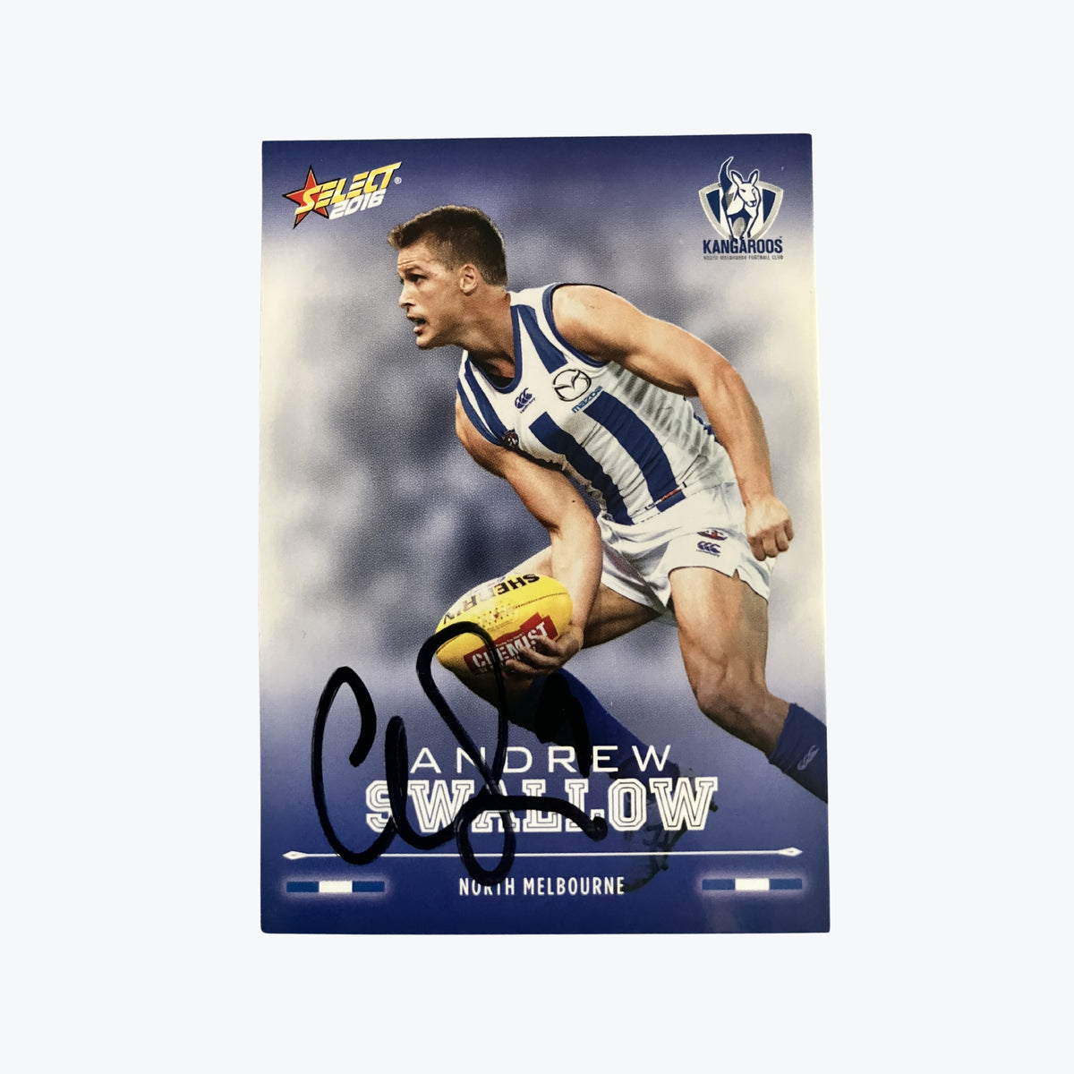 Andrew Swallow – Blue Tongue Boab