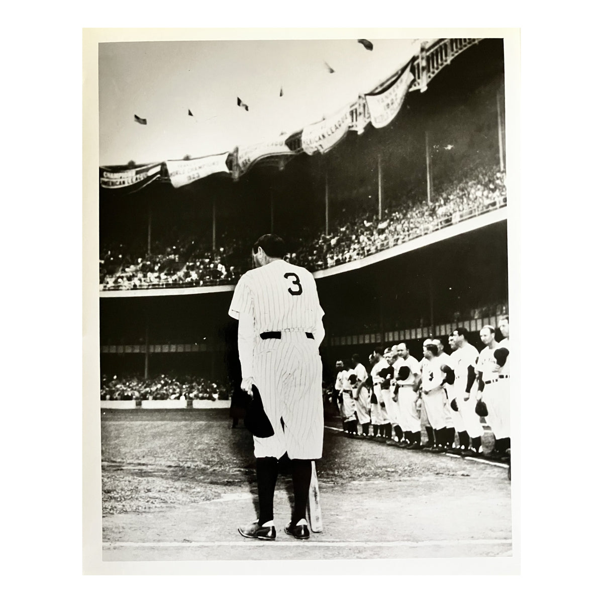 Babe Ruth – Blue Tongue Boab