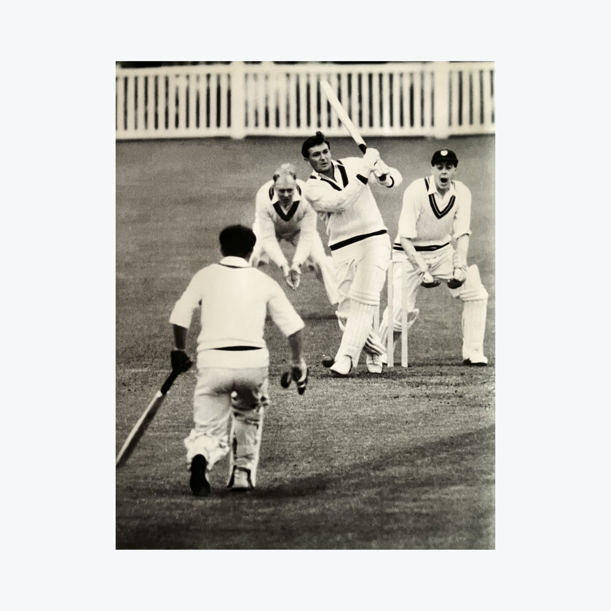 Richie Benaud – Blue Tongue Boab