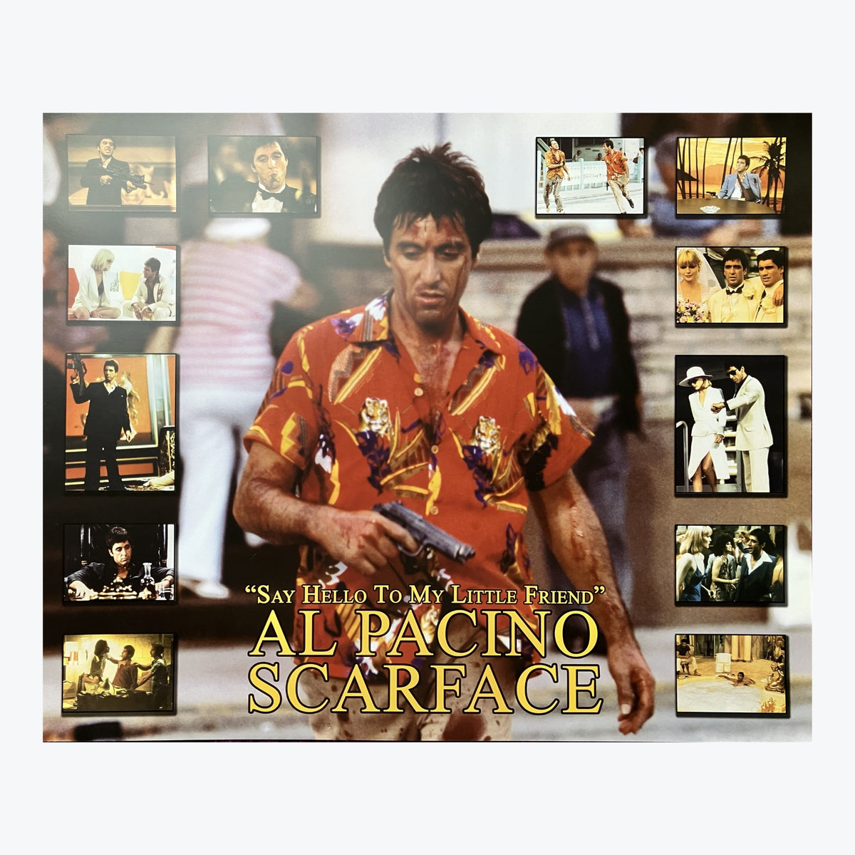 Scarface – Blue Tongue Boab