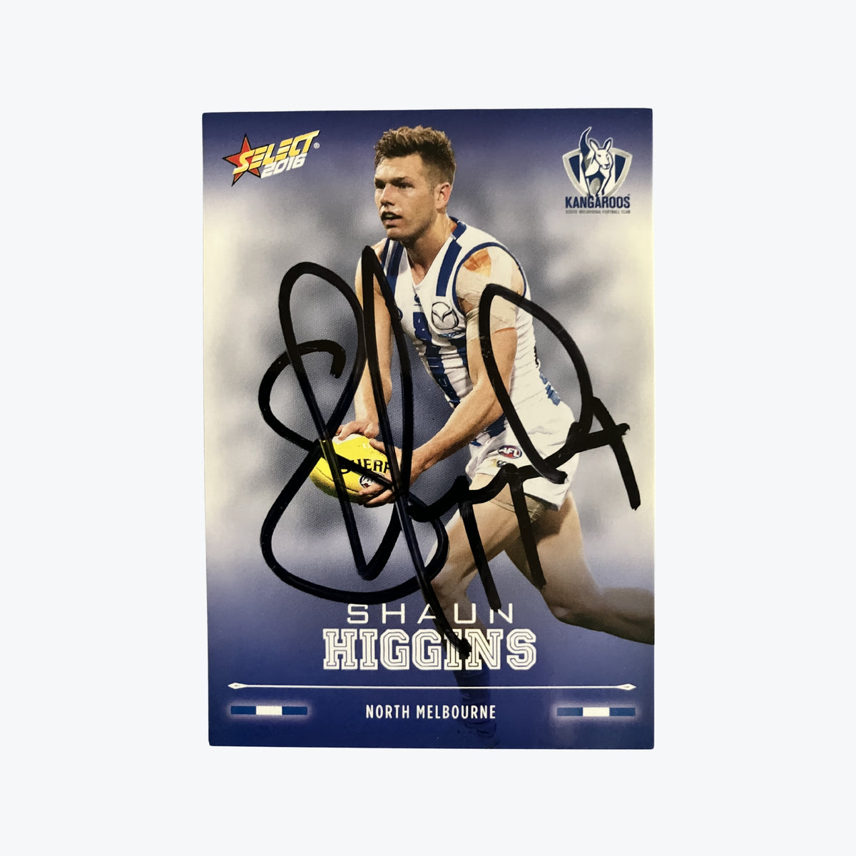 Shaun Higgins – Blue Tongue Boab
