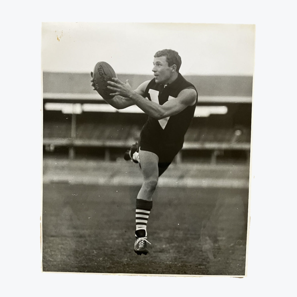 Stuart Magee – Blue Tongue Boab